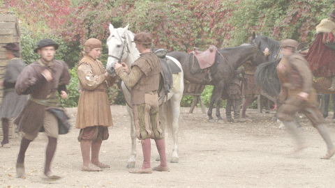 stable-boys - définition - What is